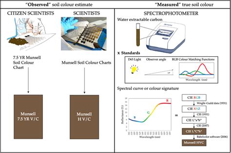 Conceptual Diagram Of Colour Transformations Required For Comparison Download Scientific