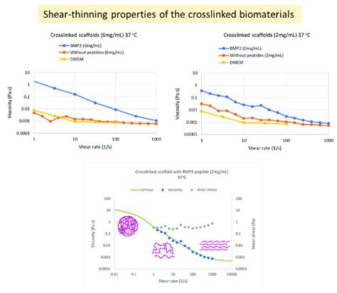Determination Of The Shear Thinning Properties Of The Crosslinked Download Scientific Diagram