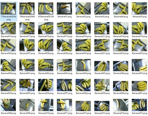 15种水果识别分类数据集fruit Recognition 人工智能 Kikolee 魔乐社区