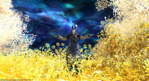 Qin Shi Huang 3rd Ascension [fgo] Eorzea Collection