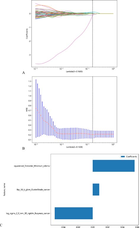 Radiomic Feature Selection And Establishment Of Rad Score Based On