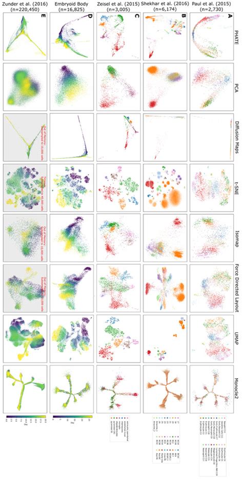 Visualizing Structure And Transitions In High Dimensional Biological