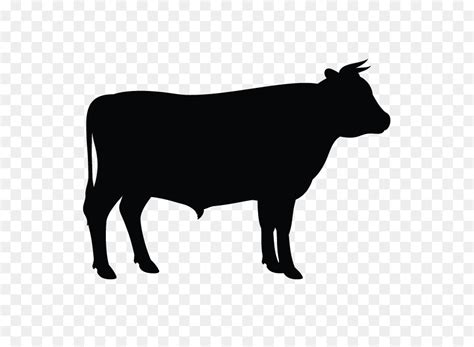 Cow Outline Vector At Collection Of Cow Outline