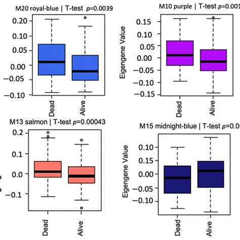 Box Plots Of Differential Expression Patterns Of Module Eigengenes Download Scientific Diagram
