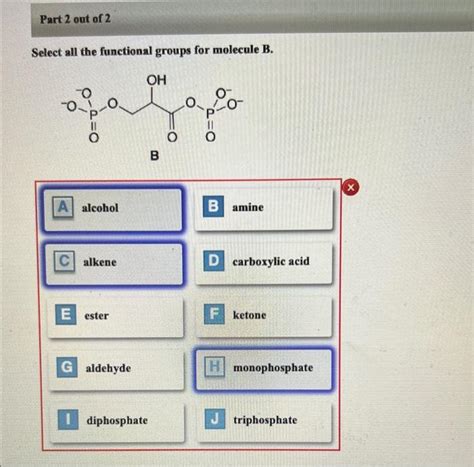 Solved Select All The Functional Groups For Molecule B Chegg