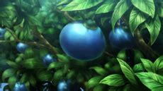 Oran Berry International Pokédex Wiki Fandom
