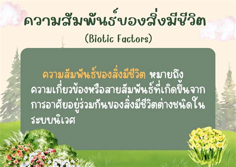 สื่อการสอนวิชาวิทยาศา สื่อการสอนวิชาวิทยาศาสตร์ ครูอ้อมนิ