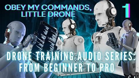 The NLP Toolbox Drone Training Audio Series From Beginner To Pro Obey My Commands L