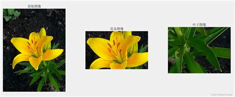 图像处理之颜色特征描述颜色矩 Csdn博客