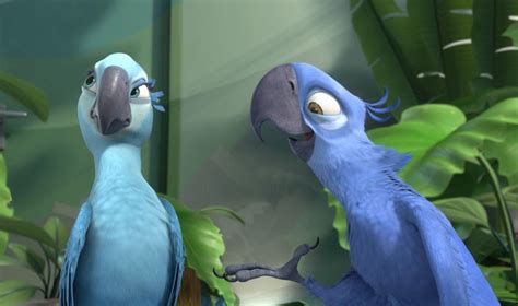 Blue Macaw Parrot That Inspired Rio Is Now Officially Extinct In The Wild Cbs News