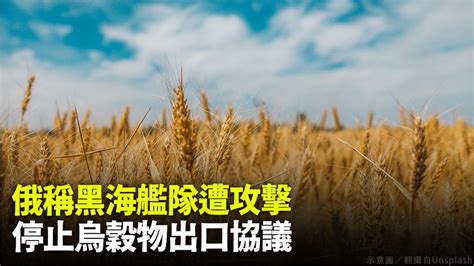 稱黑海艦隊遭攻擊 俄宣布停止與烏穀物出口協議