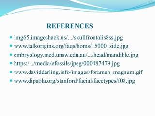 Sex Determination From Skull Remains101 PPT Bone And Joint Conditions Diseases And Conditions
