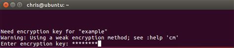 how to password protect text files using vim on linux or macos
