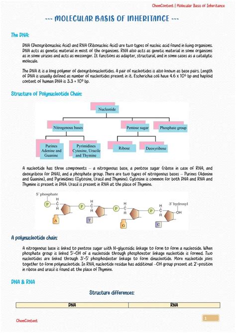 6 MOLECULAR BASIS OF INHERITANCE Pdf In 2025 Biology Facts Molecular Teaching Biology