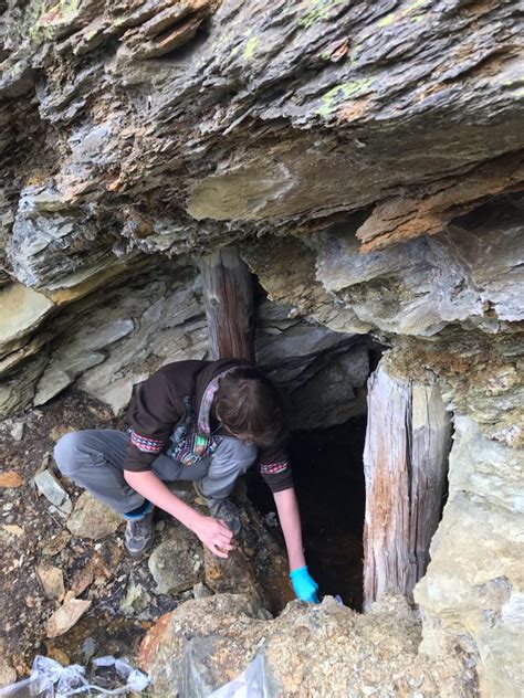 Subsurface Life In Deep Aquifers And Impact Of Microbial Activity On Karstification Processes