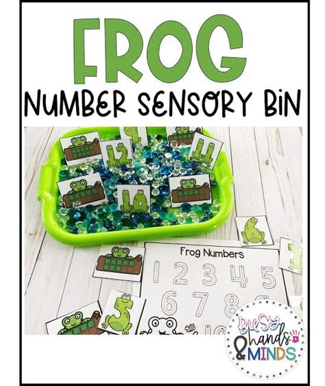 Number Sensory Bins Artofit