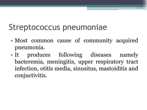 Streptococcus Species Pptx