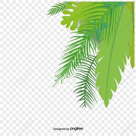 벡터 패션 자유형 측 야자나무 야자수 초록 측면 Png 일러스트 무료 다운로드 Lovepik