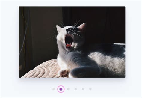 HTML5 SVG线条变形动画特效SVG IT书包