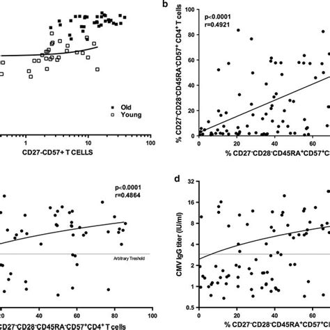 Functional Significance Of Cd57 In The Differentiation Of T Cells And