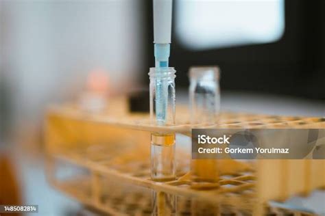 디스펜서 원심분리기 시험관 및 기타 실험실 기기로 작업하는 과학자 또는 실험실 기술자 손에 대한 스톡 사진 및 기타 이미지 손 Dna 화학 과학 Istock