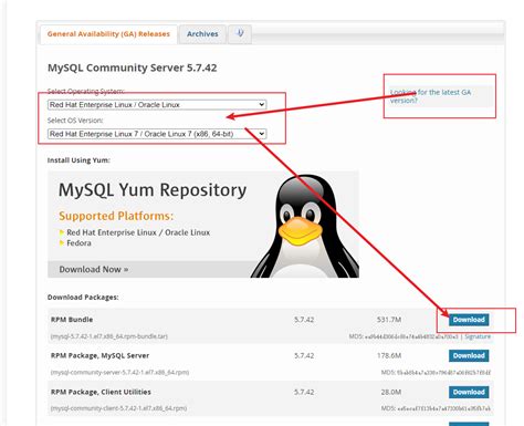 CentOS 7 9 安装基础开发环境jdk redis nacos nginx mysql Dr34m s Blog