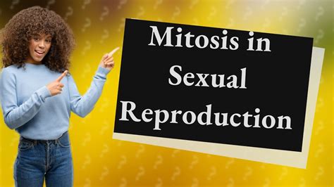 Does Sexual Reproduction Depend On Mitosis YouTube
