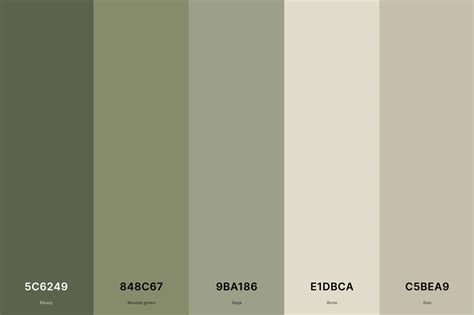 25 Best Sage Green Color Palettes With Names And Hex Codes Artofit