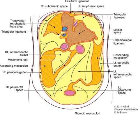 Peritoneal And Retroperitoneal Anatomy And Its Relevance For Cross Sectional Imaging Radiographics