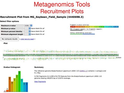 Ppt The Metagenomics Rast Server Annotation Analysis And