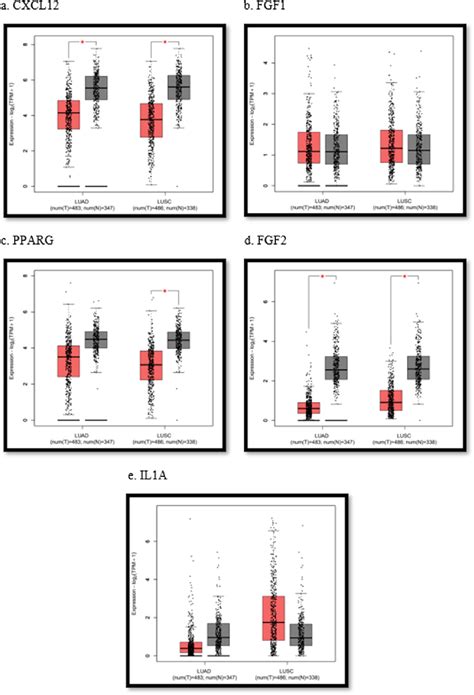 Figure 13 From Identiﬁcation Of Biomarkers In Key Gene Prediction In Lung Carcinoma Semantic