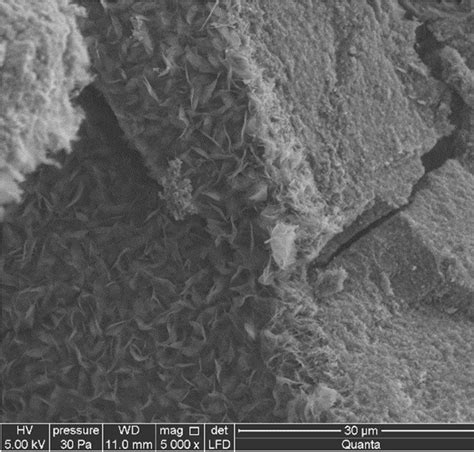 microstructure of reference sample fig 6 analysis eds c s h phase
