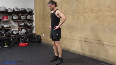 MuscleWiki Simplify Your Workout