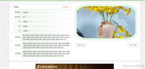 基于ssm的植物科普网站设计与实现源码lw部署文档讲解等动植物科普网站系统架构设计图 Csdn博客