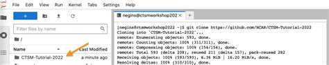Github Ncar Ctsm Tutorial Ctsm Tutorial Materials