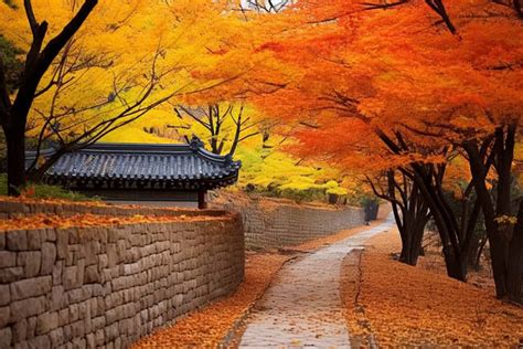 길의 한국쪽에 있는 한국의 가을 단풍 가을 계절 고대 건축 배경 일러스트 및 사진 무료 다운로드 Pngtree