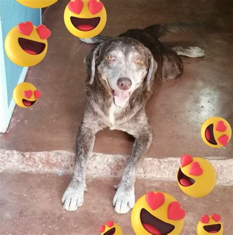 General Education Ge Heavy Internship Light Ito Ang Description Sa Karamihan Ng College