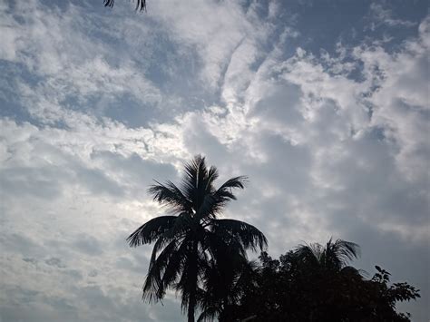 আজ উত্তরবঙ্গ থেকে দক্ষিণবঙ্গ আকাশ থাকবে মেঘাচ্ছন্ন। পশ্চিমী ঝঞ্ঝার