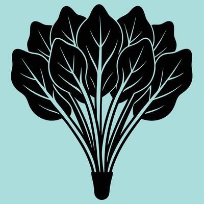 Spinach Sign Vector Art Icons And Graphics For Free Download