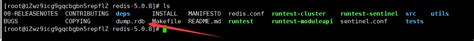 Redis之rdb文件操作dumprdb可以删除吗 Csdn博客 Redis之rdb文件操作dumprdb可以删除吗 Csdn博客