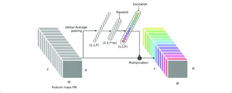 squeeze and excitation se block structure download scientific