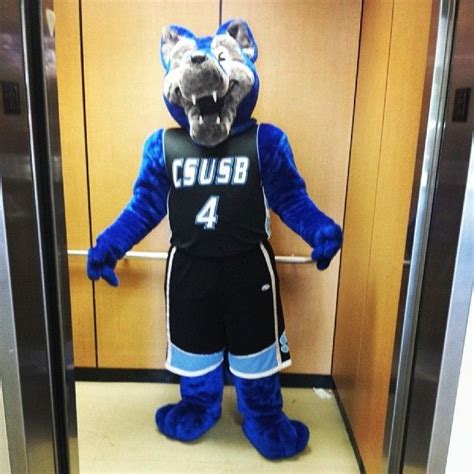 Guess Who Was Spotted In The Smsu Elevator Csusbsmsu Csusb Codythecoyote Ohheycody Goyotes