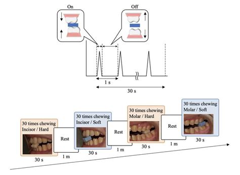 Serial Measurement Of Each Condition The Order Of Experimental Tasks Download Scientific
