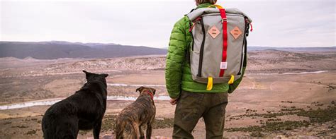11 Rutas Para Hacer Senderismo Con Perros En Madrid 2026