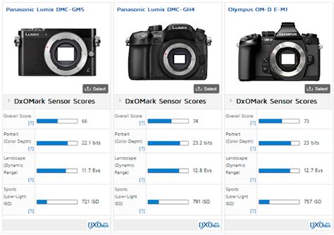 Panasonic Gm5 Sensor Review And Test Results Daily Camera News