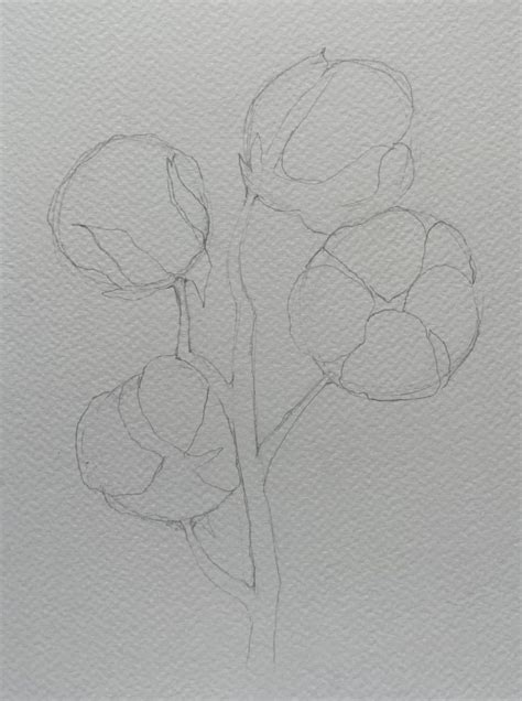 Как нарисовать растение Блог «Онлайн Школа №1