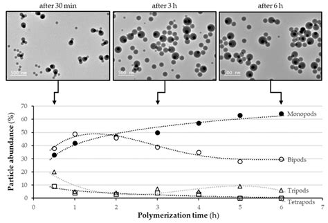 Graph Showing The Evolution With Polymerization Time Of The Abundance