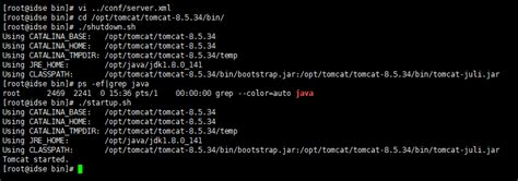 服务器部署 《tomcat篇》 菜鸟慧言md 慧言博客