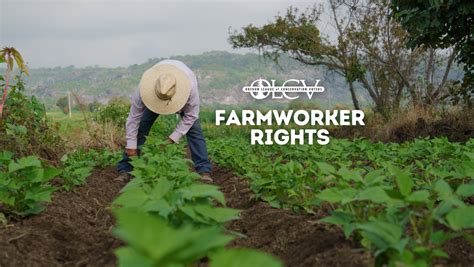 Farmworkers Deserve Overtime Pay Oregon League Of Conservation Voters