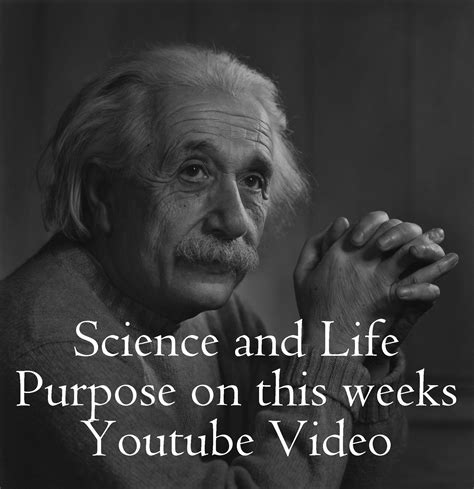 Pin On Life Purpose Videos